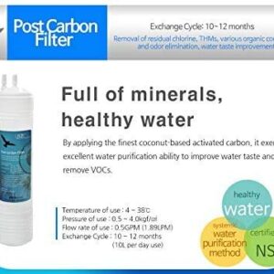 picogram Coconut-Based Post-Carbon Under-Sink Water Filter 8" 11" (11" (29cm))