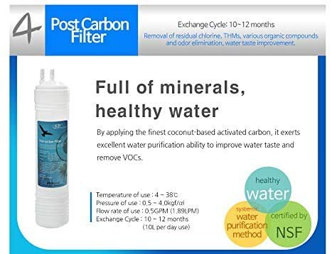 picogram Coconut-Based Post-Carbon Under-Sink Water Filter 8" 11" (11" (29cm))