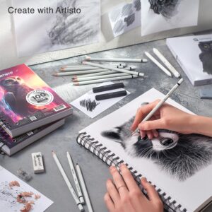 Artisto Drawing and Sketching Pencil Art Set (20 Items) - Complete Kit with Graphite Pencils, Charcoal Pencils, Sticks, Blending Stumps, Erasers, and Sharpeners