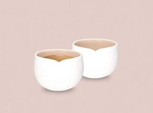 nespresso origin collection 2 espresso coffee cups set, white porcelain, new