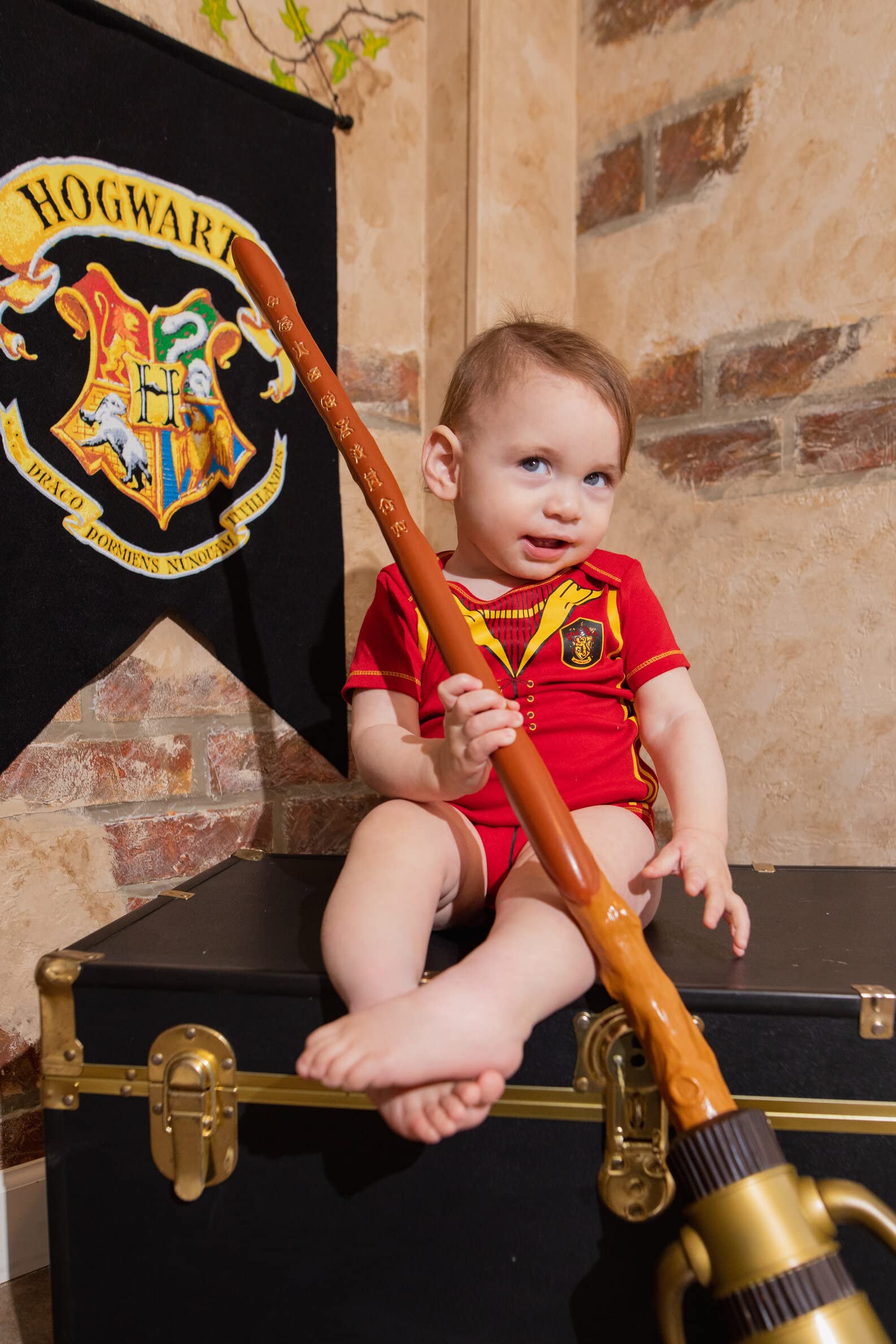 Warner Bros. Harry Potter Baby Boys' 5-Pack Bodysuits Hogwarts Gryffindor (3-6 Months)