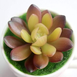 FABSELLER 12pcs Artificial Succulent Plants Mixed Fake Unpotted Succulents Faux Flowers for DIY Wall Home Indoor Garden Decoration (Red/Purple, Random Send)