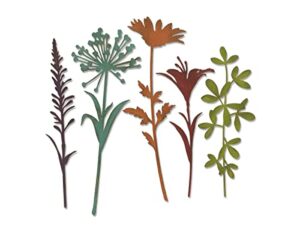 sizzix thinlits die set , wildflower stems #2 by tim holtz, 5 pack, one size, multicolor 5 piece