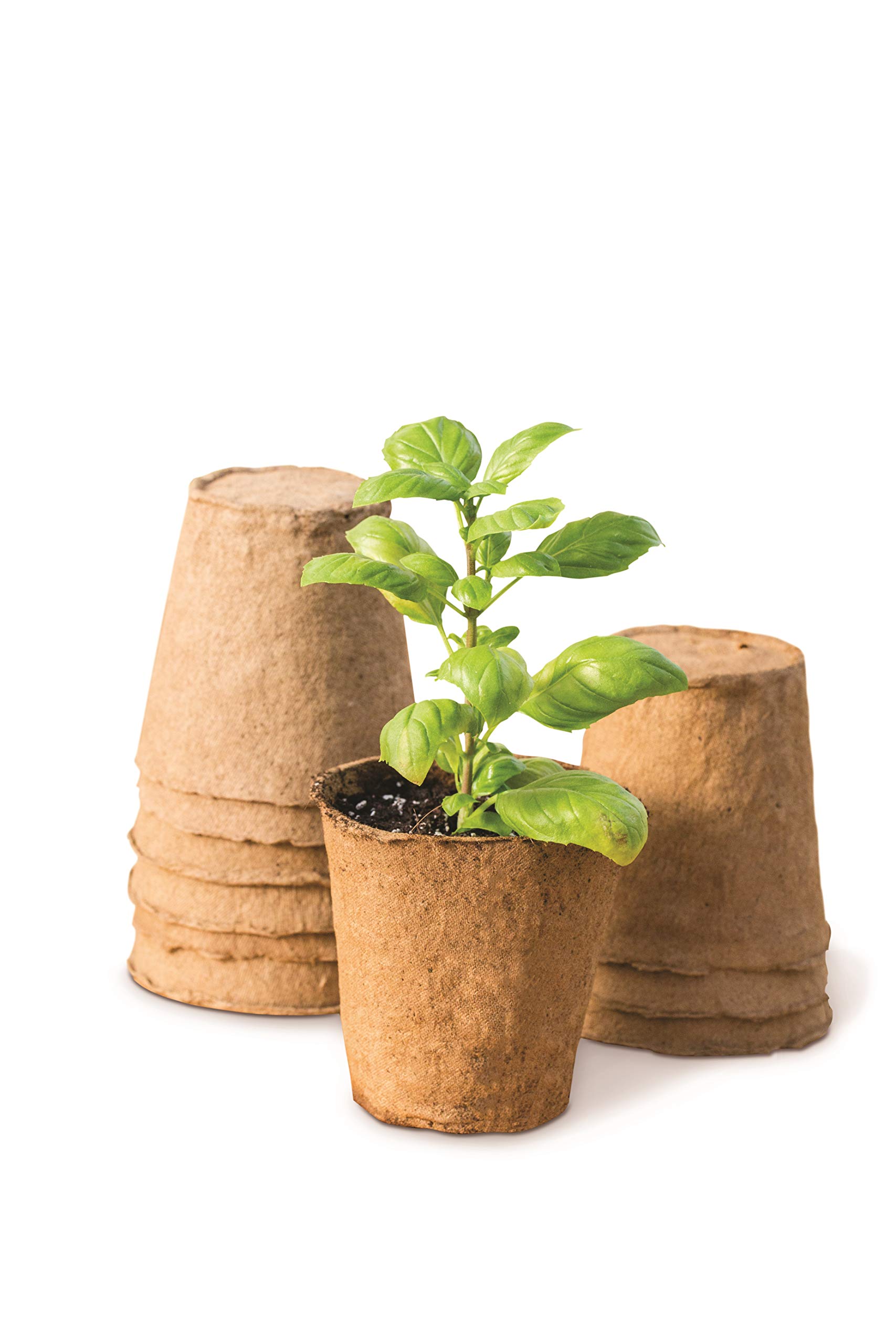 Burpee Biodegradable 3" Round Natural Fiber, 20 pots