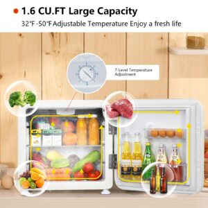 COSTWAY Compact Refrigerator, 1.6 cu ft. Single Door Small Fridge with Adjustable Temperature 32℉ to 50℉, Auto Defrost, Reversible Door, Removable Glass Shelves, Mini Fridge for Bedroom, Apartment (White)