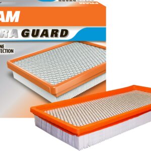 FRAM Extra Guard Engine Air Filter Replacement, Easy Install w/Advanced Engine Protection and Optimal Performance, CA3901 for Select Chevrolet, Dodge, Jeep and Mitsubishi Vehicles