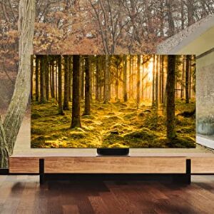 SAMSUNG 65-Inch Class Samsung Neo QLED 8K QN900B Series Mini LED Quantum HDR 64x Smart TV with Alexa Built-in (QN65QN900BFXZA, 2022 Model)