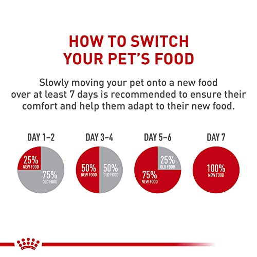 Royal Canin Feline Care Nutrition Hair & Skin Care Loaf in Sauce Canned Cat Food, 3 oz can (24-count)