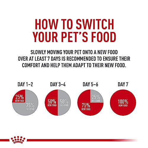 Royal Canin Feline Health Nutrition Aging 12+ Loaf in Sauce Canned Cat Food, 5.1 oz Can (24-Count)