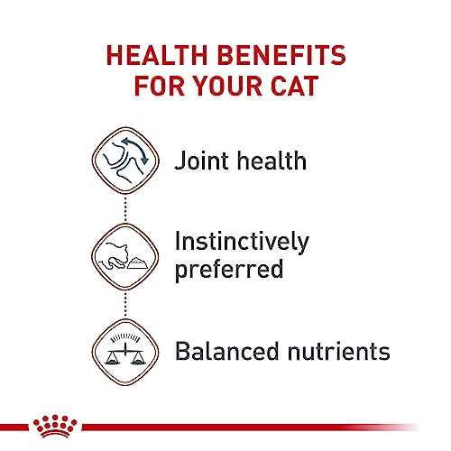 Royal Canin Feline Health Nutrition Aging 12+ Loaf in Sauce Canned Cat Food, 5.1 oz Can (24-Count)