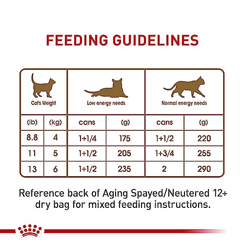 Royal Canin Feline Health Nutrition Aging 12+ Loaf in Sauce Canned Cat Food, 5.1 oz Can (24-Count)