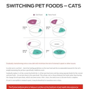 Purina ONE Sensitive Stomach, Sensitive Skin, Natural Dry Cat Food, +Plus Sensitive Skin and Stomach Formula - 3.5 lb. Bag