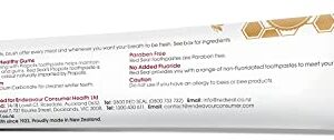 Red Seal Propolis Toothpaste – Made with 100% New Zealand Bee Propolis Extract, Anise, Peppermint, Eucalyptus Essential Oils - No Fluoride, No Preservatives, No Artificial Flavors or Colors - 2 Pk