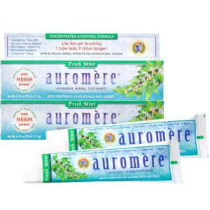 auromere ayurvedic herbal toothpaste, fresh mint - vegan, natural, non gmo, fluoride free, gluten free, with neem & peelu (4.16 oz), 2 pack