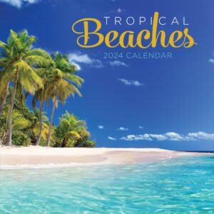 tf publishing 2024 tropical beaches wall calendar | large grids for appointments and scheduling | vertical monthly wall calendar 2024 | home and office organization | premium gloss paper | 12"x12”