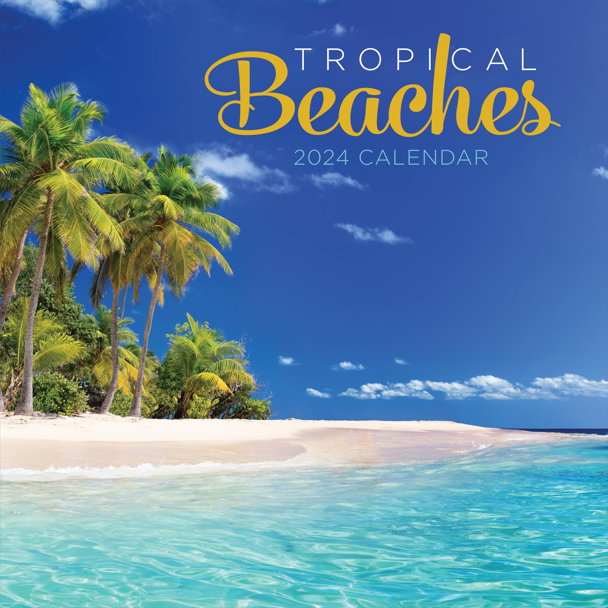 TF PUBLISHING 2024 Tropical Beaches Wall Calendar | Large Grids for Appointments and Scheduling | Vertical Monthly Wall Calendar 2024 | Home and Office Organization | Premium Gloss Paper | 12"x12”