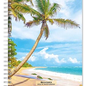 Beaches | 2024 6 x 7.75 Inch Spiral-Bound Wire-O Weekly Engagement Planner Calendar | New Full-Color Image Every Week | BrownTrout | Travel Nature Tropical