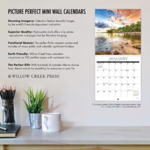 Willow Creek Press Ah The Beach! Monthly Mini 2024 Wall Calendar (7" x 7")