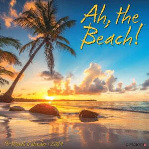 willow creek press ah, the beach! monthly 2024 wall calendar (12" x 12")