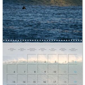 Surfing Passion (Wall Calendar 2024 12" × 12"), CALVENDO 12 Month Wall Calendar