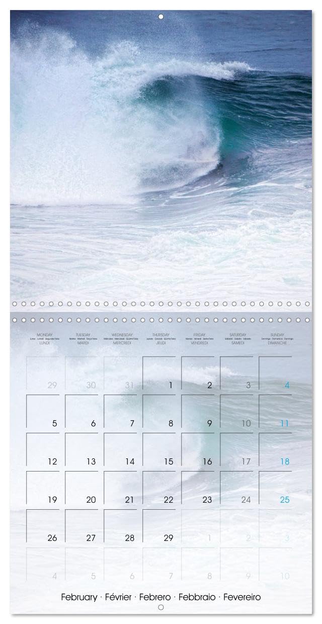 Surfing Passion (Wall Calendar 2024 12" × 12"), CALVENDO 12 Month Wall Calendar