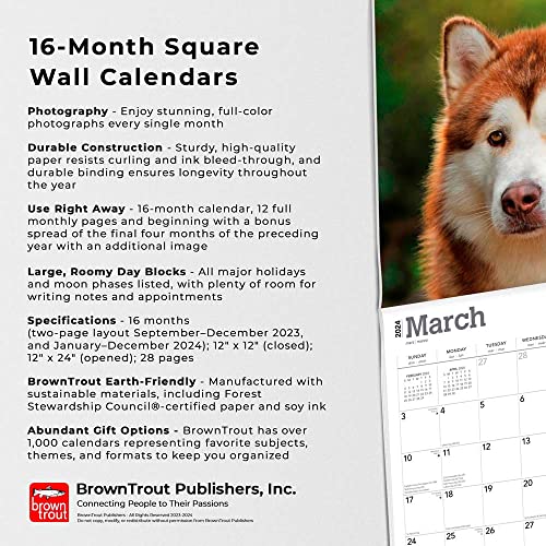 Alaskan Malamutes | 2024 12 x 24 Inch Monthly Square Wall Calendar | BrownTrout | Animals Dog Breeds