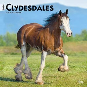 clydesdales | 2024 12 x 24 inch monthly square wall calendar | browntrout | animals horses