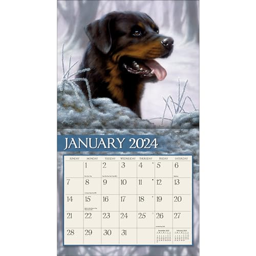 LANG Love Of Dogs 2024 Wall Calendar (24991001927)