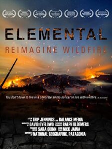 elemental: reimagine wildfire