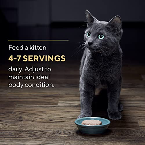 SHEBA Perfect Portions Kitten Paté Wet Cat Food Trays (24 Count, 48 Servings), Savory Chicken and Delicate Salmon Entrée, Easy Peel Twin-Pack Trays