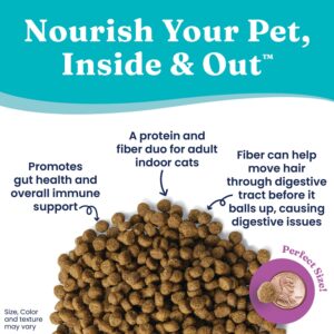 Solid Gold Indoor Dry Cat Food - Let's Stay in Cat Food Dry Kibble for Indoor Cats - Hairball & Sensitive Stomach - Grain & Gluten Free - Probiotics & Fiber for Digestive Health - Salmon - 12lb