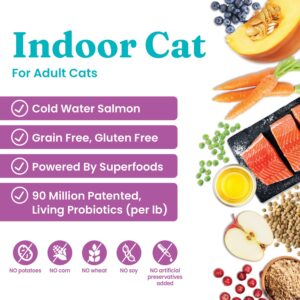 Solid Gold Indoor Dry Cat Food - Let's Stay in Cat Food Dry Kibble for Indoor Cats - Hairball & Sensitive Stomach - Grain & Gluten Free - Probiotics & Fiber for Digestive Health - Salmon - 12lb