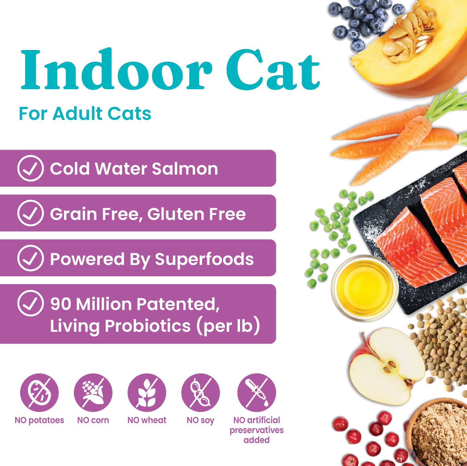 Solid Gold Indoor Dry Cat Food - Let's Stay in Cat Food Dry Kibble for Indoor Cats - Hairball & Sensitive Stomach - Grain & Gluten Free - Probiotics & Fiber for Digestive Health - Salmon - 12lb