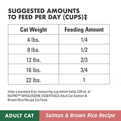 NUTRO WHOLESOME ESSENTIALS Adult Natural Dry Cat Food Salmon & Brown Rice Recipe, 3 lb. Bag