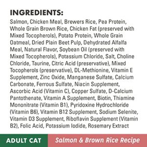 NUTRO WHOLESOME ESSENTIALS Adult Natural Dry Cat Food Salmon & Brown Rice Recipe, 3 lb. Bag