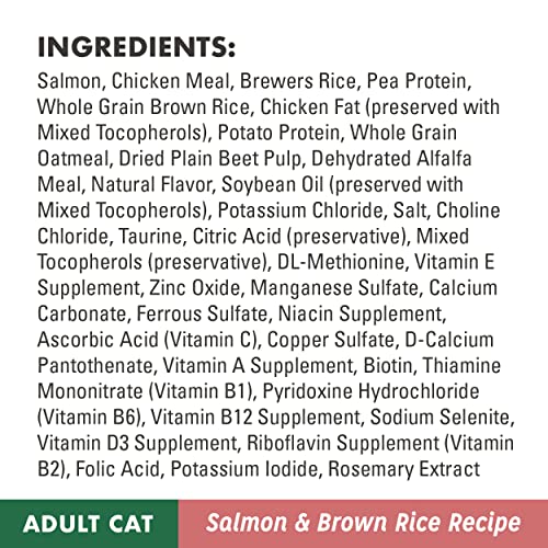 NUTRO WHOLESOME ESSENTIALS Adult Natural Dry Cat Food Salmon & Brown Rice Recipe, 3 lb. Bag