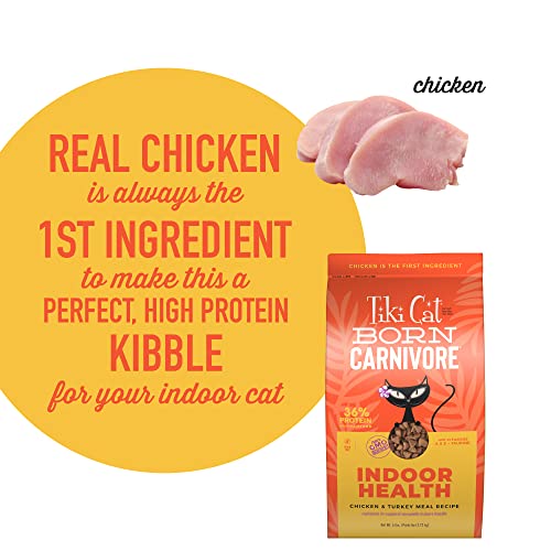 Tiki Cat Born Carnivore Indoor Health, Chicken & Turkey Meal, Grain-Free Baked Kibble to Maximize Nutrients, Dry Cat Food, 6 lbs. Bag