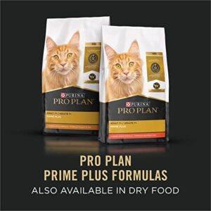 Purina Pro Plan Grain Free Senior Wet Cat Food Variety Pack Pate, SENIOR Seafood Favorites - (2 Packs of 12) 3 oz. Cans