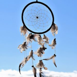 SendyFeather 200pcs 10 Style Natural Feathers Assorted Mixed Feathers for Dream Catcher Crafts DIY Decoration