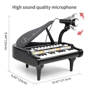 24 Keys,Kids Grand Piano Keyboard Toy for Beginners,3 4 5 6 Years Old Toddler Girl Boy First Birthday Gift,Musical Instrument,w/Microphone,Multiple Sounds,Note Stickers,Recordings,Connecting MP3,Black