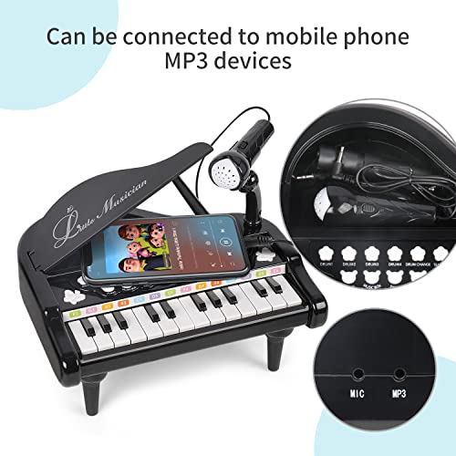 24 Keys,Kids Grand Piano Keyboard Toy for Beginners,3 4 5 6 Years Old Toddler Girl Boy First Birthday Gift,Musical Instrument,w/Microphone,Multiple Sounds,Note Stickers,Recordings,Connecting MP3,Black