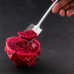 Cooking Spoons 304 Stainless Steel Net Red Shovel Spoon Creative Cute Small Spoon Household Watermelon Artifact Special Shovel Spoon 4pcs Table Spoons (Color : C)