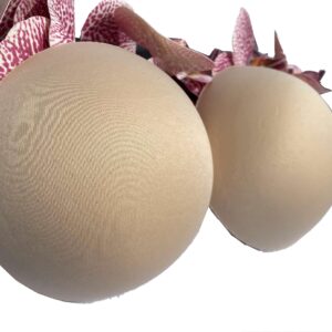 BIMEI Bra Inserts Pads A Pair for Sports Bras, Women's Push Up Bra Inserts Breast Enhancer Cups (Beige, C Cup)