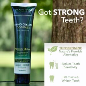 Heart Tone Botanicals Living Crystal Toothpaste | Fluoride Free | Natural & Remineralizing Hydroxyapatite Toothpaste | Sensitive Teeth | Colloidal Silver, Theobromine, Strengthens Enamel | Minty Fresh