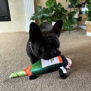 Doggijuana | Refillable Catnip Dog Toy | Naturally Calming | Catnip Grown in The USA (Barkling Whine)