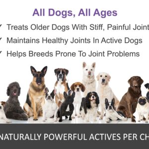 Advanced Joint Repair + Hemp Hip & Joint Health Supplement for Dogs - Relieves Arthritis, Pain & Inflammation, Improve Mobility, Extra Strength Soft Chew Treats with Glucosamine, Chondroitin & MSM