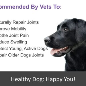 Advanced Joint Repair + Hemp Hip & Joint Health Supplement for Dogs - Relieves Arthritis, Pain & Inflammation, Improve Mobility, Extra Strength Soft Chew Treats with Glucosamine, Chondroitin & MSM