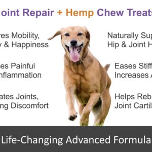 Advanced Joint Repair + Hemp Hip & Joint Health Supplement for Dogs - Relieves Arthritis, Pain & Inflammation, Improve Mobility, Extra Strength Soft Chew Treats with Glucosamine, Chondroitin & MSM