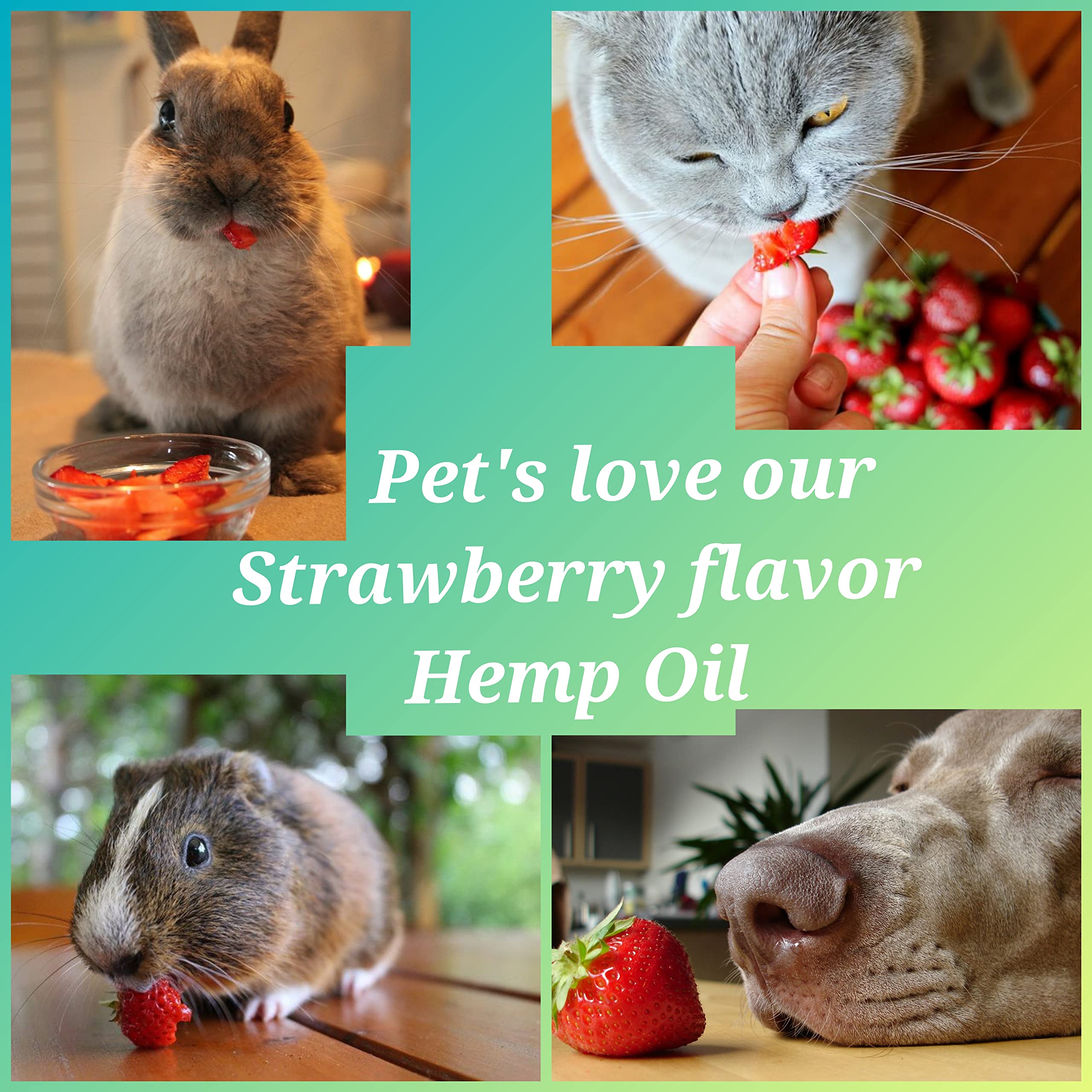 Pittie Cool Hemp Oil for Pets, Strawberry Flavor, 1000MG, Natural, Hips & Joints, Calming, Anxiety