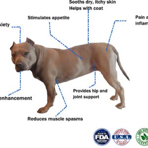 Pittie Cool Hemp Oil for Pets, Strawberry Flavor, 1000MG, Natural, Hips & Joints, Calming, Anxiety